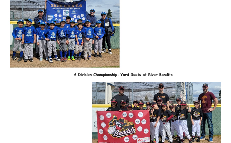 Alameda Little League Baseball (CA) > Home