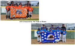 Alameda Little League Baseball (CA) > Home