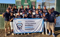Alameda Little League Baseball (CA) > Home