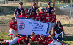 Alameda Little League Baseball (CA) > Home